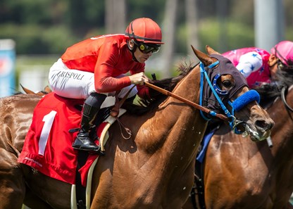 Mi Hermano Ramon - Horse Profile - BloodHorse