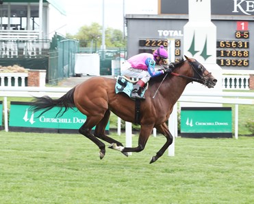 Coppola - Horse Profile - BloodHorse