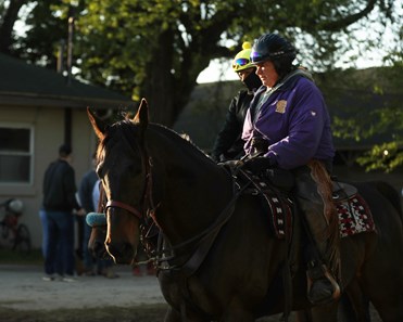 Practical Move - Horse Profile - BloodHorse
