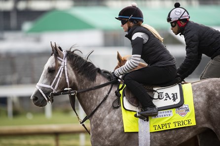 Tapit Trice - Horse Profile - BloodHorse