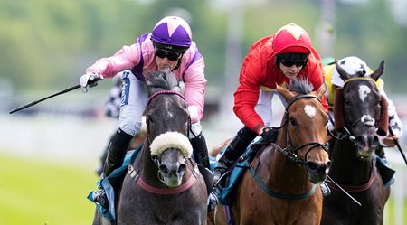 Azure Blue Denies Highfield Princess in Duke of York - BloodHorse