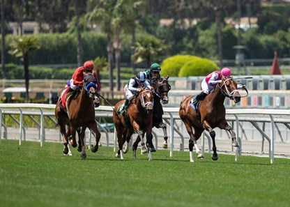 Mi Hermano Ramon - Horse Profile - BloodHorse