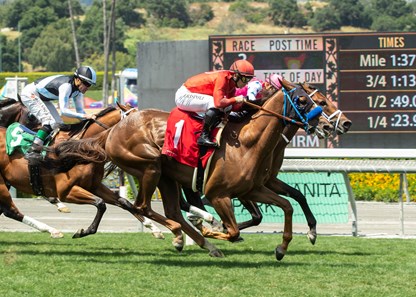 Mi Hermano Ramon - Horse Profile - BloodHorse