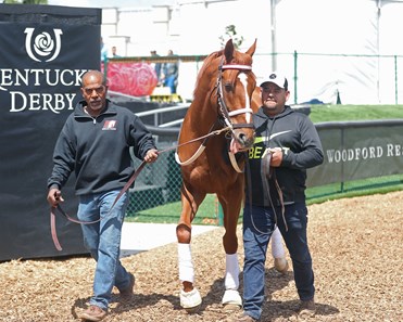 Rich Strike - Horse Profile - BloodHorse
