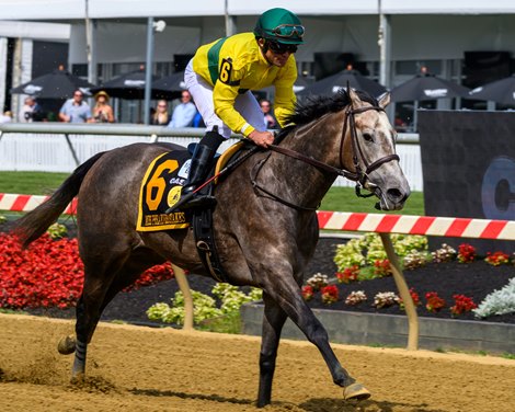 Maple Leaf Mel Looks to Stay Perfect in Victory Ride - BloodHorse