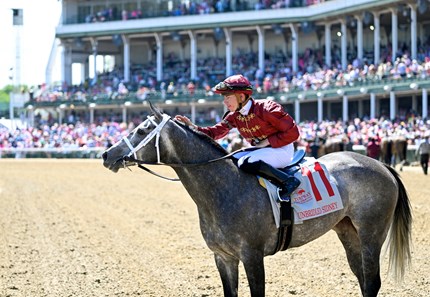 Caravel - Horse Profile - BloodHorse