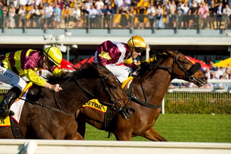 Huetor Wins Back-to-Back Doomben Cups - BloodHorse