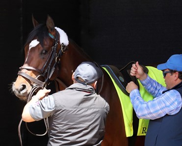 Raise Cain - Horse Profile - BloodHorse