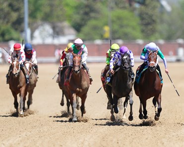 Red Carpet Ready - Horse Profile - BloodHorse
