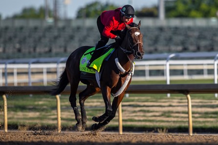 Raise Cain - Horse Profile - BloodHorse