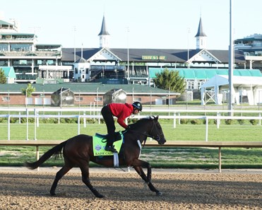 Raise Cain - Horse Profile - BloodHorse