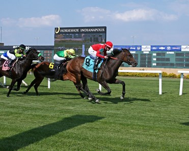 Cyclone Ranger - Horse Profile - BloodHorse