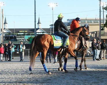 Practical Move - Horse Profile - BloodHorse