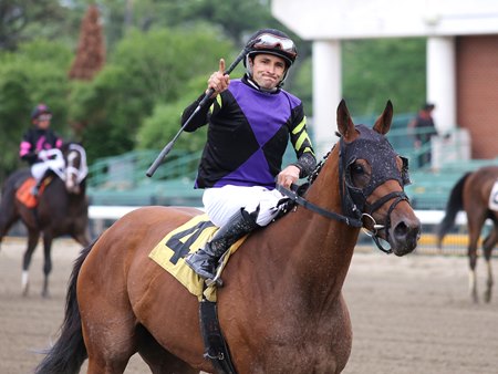 Rendon a Jockey in Summer, Colombian Farmer in Winter - TrueNicks.com