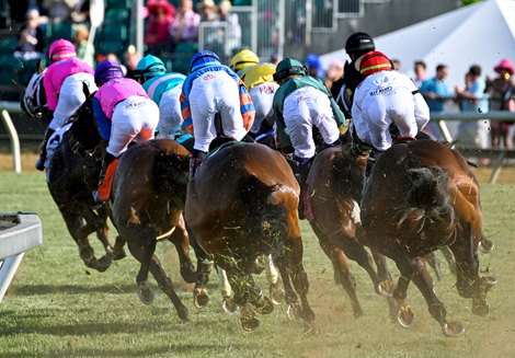 HISA Whistleblower Program Includes Racetrack Safety - BloodHorse