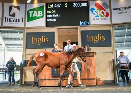 Deep Finish to Inglis Weanling Sale - BloodHorse