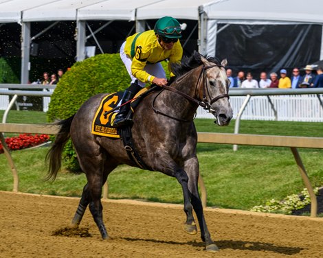 Maple Leaf Mel Takes Miss Preakness for Namesake - BloodHorse