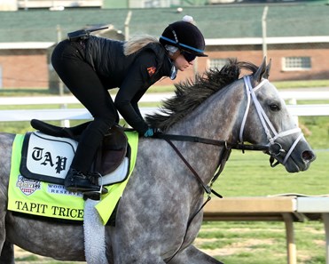 Tapit Trice - Horse Profile - BloodHorse