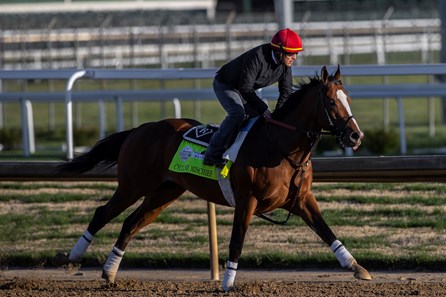 Cyclone Mischief - Horse Profile - BloodHorse