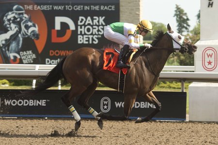 Hard Edge Looks for Winning Edge in Whimsical - BloodHorse