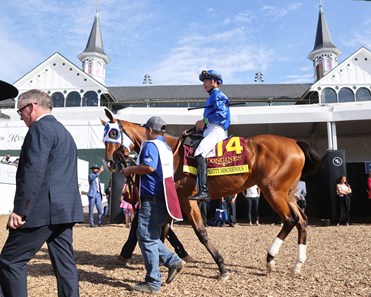 Pretty Mischievous - Horse Profile - BloodHorse