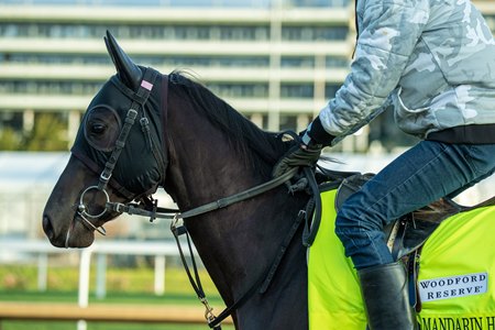 Mandarin Hero Back in Action in Japan - TrueNicks.com