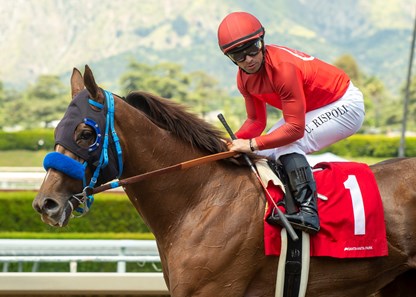 Mi Hermano Ramon - Horse Profile - BloodHorse