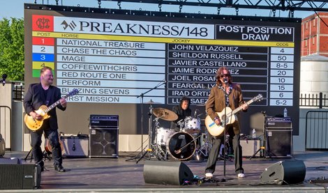 Meet the Field for the 148th Preakness Stakes - Slideshow - BloodHorse