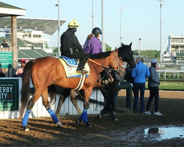 Practical Move - Horse Profile - BloodHorse