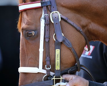 Rich Strike - Horse Profile - BloodHorse