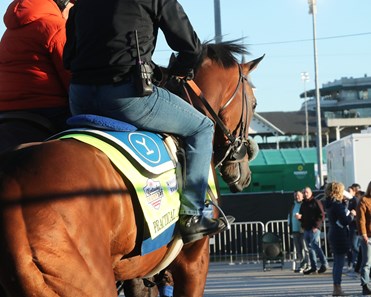 Practical Move - Horse Profile - BloodHorse
