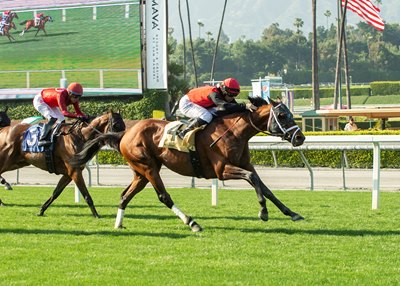 Equibase | Horse Racing | Horse Racing Entries | Horse Racing Results ...