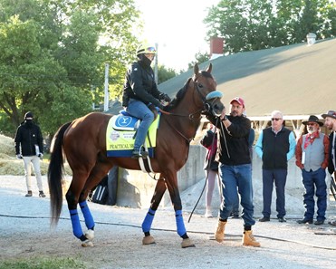 Practical Move - Horse Profile - BloodHorse