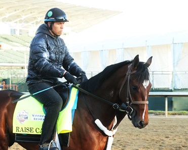 Raise Cain - Horse Profile - BloodHorse