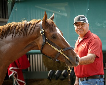 Mage - Horse Profile - BloodHorse