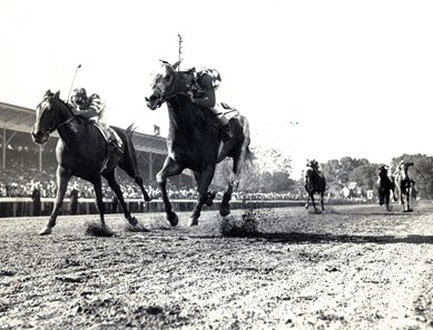 Native Dancer - Horse Profile - BloodHorse