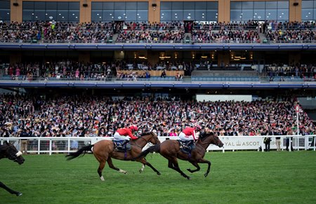 King's Stand Second Highfield Princess Back for Jubilee - TrueNicks.com