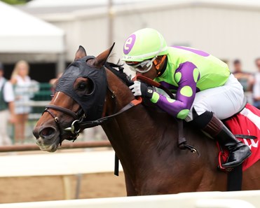 Harry Hood - Horse Profile - BloodHorse