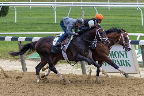 Forte Maintains Hold on NTRA 3-Year-Old Poll - BloodHorse