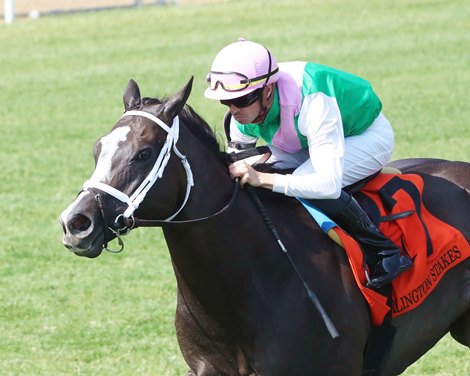 Set Piece, Mission of Joy Capture G3s on Churchill Turf - BloodHorse