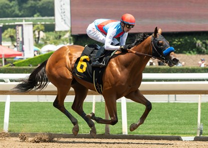 Muth - Horse Profile - BloodHorse