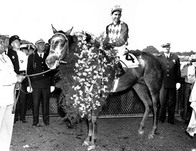 Native Dancer - Horse Profile - BloodHorse