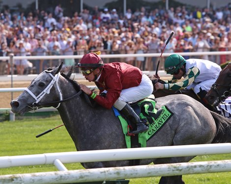 Caravel Wins Fifth Straight in Jaipur - BloodHorse