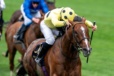 Triple Time Retires to Stud at Darley's Dalham Hall - BloodHorse