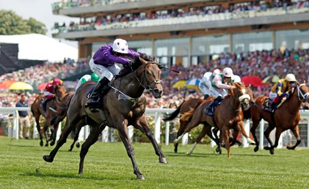 Valiant Force Upsets Norfolk at Massive Odds - BloodHorse