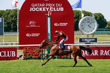 Ace Impact (IRE) - Horse Profile - BloodHorse