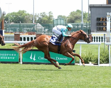 Mission of Joy - Horse Profile - BloodHorse