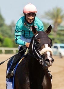 Tranche - Horse Profile - BloodHorse