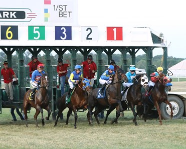 Golden Bandit - Horse Profile - BloodHorse