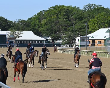 Red Route One - Horse Profile - BloodHorse